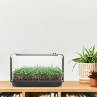 China 120lm/W Hydroponics Growing System 16W Tabletop Grow Lights Full Spectrum With Timer for sale