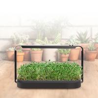 China Indoor Microgreens Growing Kit Automated Full Spectrum LED Grow Lights With Seed Pads for sale