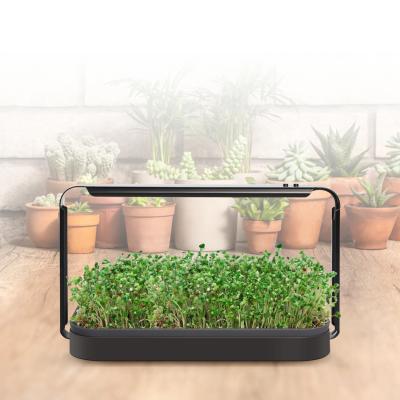 China Indoor Microgreens Growing Kit Automated Full Spectrum LED Grow Lights With Seed Pads for sale