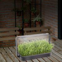 China Smart Hydroponic Growing System Indoor Plants Germination Kit For Home Kitchen Gardening for sale