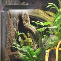 China 9w LED UVB Reptile Light For Desert Reptile Turtle / Bearded Dragon for sale