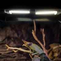 China UVB Full Spectrum Sun Lamp UV Heating Lamp For Turtle Reptile Lizard E27/E26 Base for sale