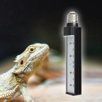China 6500k Daylight UVA UVB Bulbs Light Desert Terrarium Lamp For Amphibian for sale