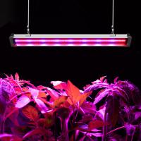 China Red Blue Full Spectrum LED Light Strips High PPFD For Seeds Starting Succulents for sale