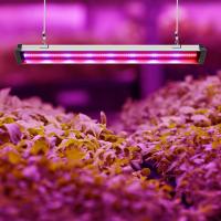 China 110lm/W LED Grow Light Bars Full Spectrum Growth Lamp Strip For Indoor Plants for sale