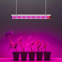 China Red Blue White Full Spectrum LED Plant Light End To End Connectable  For Indoor Plant for sale