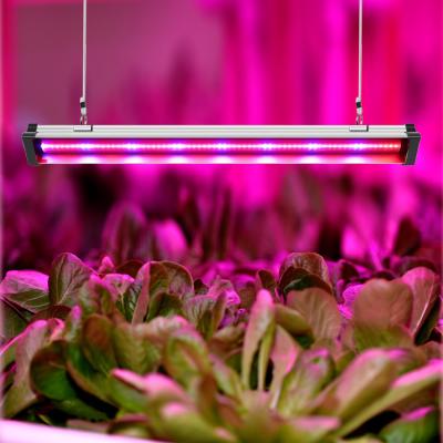 China Full Spectrum Sunlight White LED Grow Light Strips 24w 2ft For Herbs / Succulents for sale