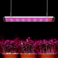 China 24W 39W 54W LED Plant Grow Light Strips Full Spectrum For Indoor Plants Garden Seedlings for sale
