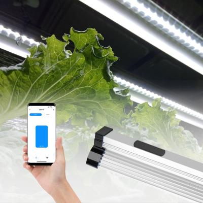 China 48W LED Full Spectrum Plant Grow Light Indoor Garden Tuya WIFI Control Adjustable for sale