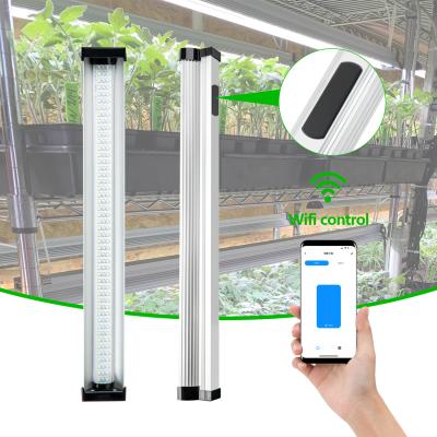 China Smart Wifi Full Spectrum Grow Lamp App Control For Indoor Plants for sale
