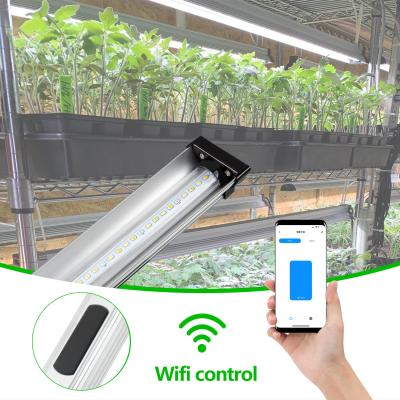 China Smart Light Plant LED Grow Light WIFI Group Control Grow Lighting For Greenhouse for sale