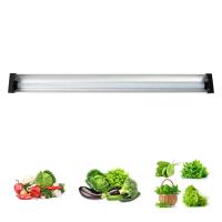 China 15000lm Full Spectrum LED Cultivator Lights LED Grow Lamp 50 Lifespan 3 Years Warranty for sale