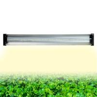 China 420X210X60mm Full Spectrum LED Grow Lights Planting Lamps 3 Years Warranty for sale