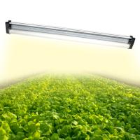 China WIFI Full Spectrum LED Grow Light Smart High PPFD For Seeds Starting Succulents for sale