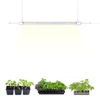 China Waterproof LED Grow Light Bar AC100-240V 64000K High CRI IP67 Rating For Wet Locations Plants Lamps for sale