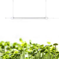 China LEDs Sunlike Grow Lamp Garden Lighting Hydronic Grow Light Led High Power Led Grow Lights for sale