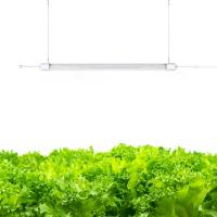 China IP65 Full Spectrum LED Grow Light For Hydroponic Veg And Bloom Plant Growing for sale
