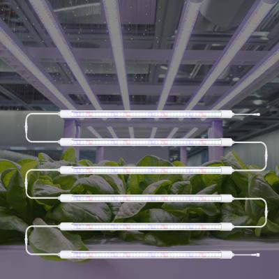 China waterproof Growth lamps Full Spectrum LED Grow Light Strip For Indoor Plants Growing for sale