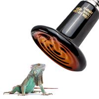 China Infrared Reptile Heat Lamp Bulb Pet Brooder Coop 150w Ceramic Heat Bulb for sale