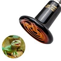 China Infrared Reptile Ceramic Heat Emitter Bulb For Pet Lizard Bearded Dragon for sale
