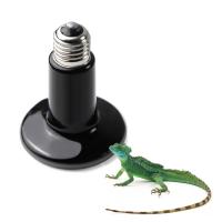 China Chicken Lizard Turtle Reptile Heat Lamp Infrared Ceramic Heat Lamp Black Emitter Bulb for sale