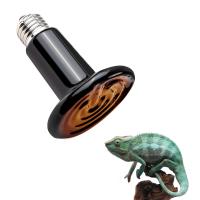 China 100W Ceramic Heater Reptile Heat Lamp Bulbs For Amphibian Pet Brooder Coop Chickens for sale