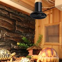 China 50W 100W Reptile Heat Bulbs Ceramic Heat Emitter Lamp For Amphibian Chicken Dog Cat for sale