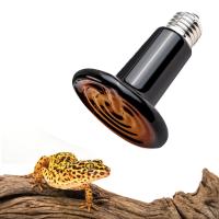 China 50W 100W Reptile Heat Bulbs Ceramic Heat Emitter Lamp For Amphibian Chicken Dog Cat for sale