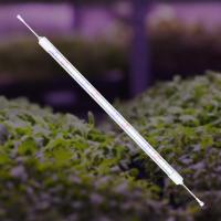 China Greenhouse Full Spectrum LED Grow Lights For Indoor Plants With Daisy Chain for sale
