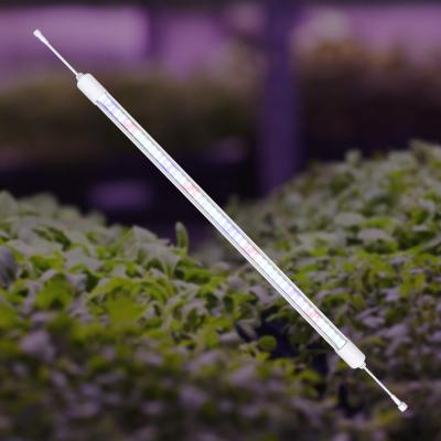 China Greenhouse Full Spectrum LED Grow Lights For Indoor Plants With Daisy Chain for sale