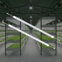 China Waterproof Bar IP65 LED Grow Light 6400K 9000K Full Spectrum Plant Lamp for sale