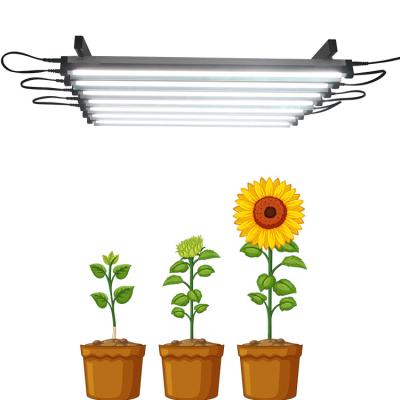 China 120V/220V 4 FT T5 Fluorescent Grow Light Bulbs Cool White For Growing Plants for sale