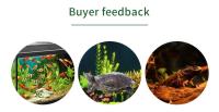 China Stimulates Activity Reptile Light Bulbs 3 Feet Led Tube Light For Bearded Dragon for sale