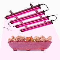China Strawberry Seed Full Spectrum Light Bulbs For Plants Vertical Garden Systems High PPFD for sale