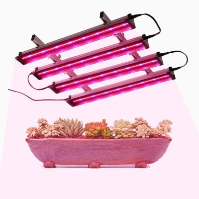 China Strawberry Seed Full Spectrum Light Bulbs For Plants Vertical Garden Systems High PPFD for sale