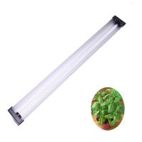 China Small Portable Low Heat 24W Full Spectrum LED Grow Lights Greenhouse Indoor for sale