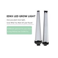 China Seed Germination 4992lm Full Spectrum LED Grow Lights For Indoor Farming GreenHouse for sale