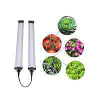China Mushroom Full Spectrum Led Lights , SMD2835 Hydroponics Grow Tent Lights for sale