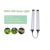 China Mushroom Full Spectrum Led Lights , SMD2835 Hydroponics Grow Tent Lights for sale