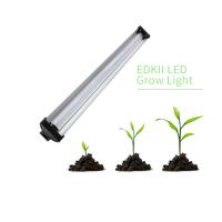 China Mushroom Full Spectrum Led Lights , SMD2835 Hydroponics Grow Tent Lights for sale