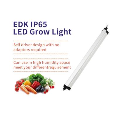 China RoHS 12W Vertical Farming Led Grow Lights For Strawberry Fruit for sale