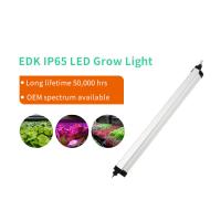China Full Spectrum Waterproof Led Grow Light Strip IP65 Indoor Garden Lighting for sale