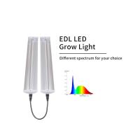 China Farming Garden 10W Hydroponics Led Grow Lights T5 Light 6400K for sale