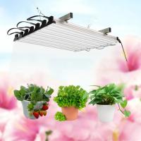 China Strawberry Seed Full Spectrum Light Bulbs For Plants Vertical Garden Systems High PPFD for sale
