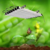 China Aluminum Alloy 12w Full Spectrum Led Grow Lights Ce Rohs Small Plant Lamp Bar for sale