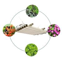 China EDK SMD2835 12W Full Spectrum LED Grow Lights For Home Hobbyist Cultivation for sale
