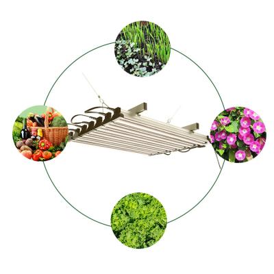 China EDK SMD2835 12W Full Spectrum LED Grow Lights For Home Hobbyist Cultivation for sale