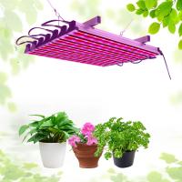 China 48W Full Spectrum Led Grow Lights for sale