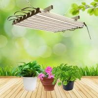 China Strawberry Seed Full Spectrum Light Bulbs For Plants Vertical Garden Systems High PPFD for sale
