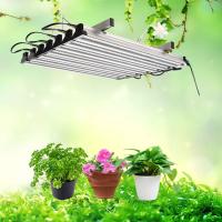 China EDK SMD2835 12W Full Spectrum LED Grow Lights For Home Hobbyist Cultivation for sale
